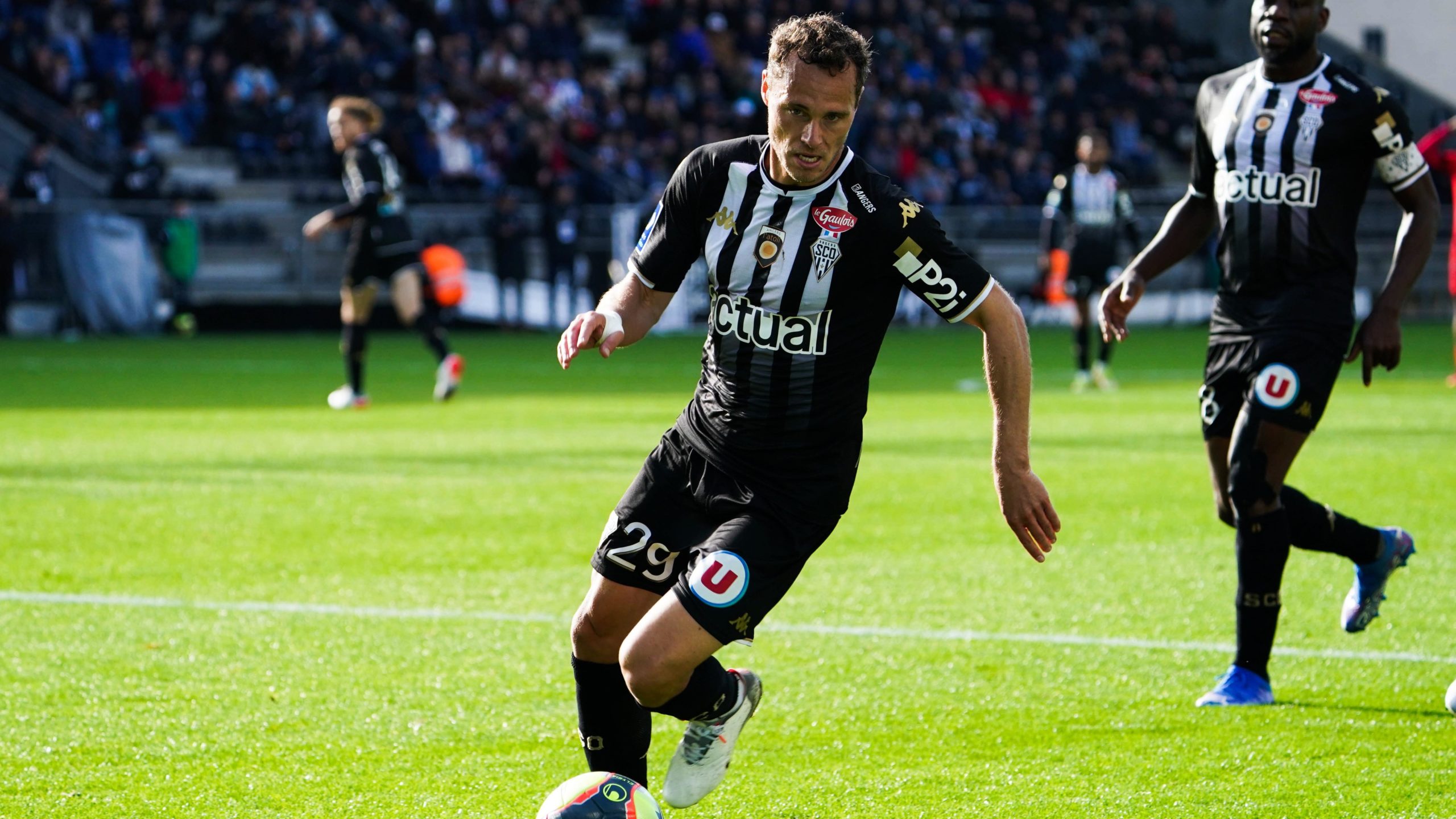 J16 | Angers SCO - AS Monaco : Le point stats - Angers SCO